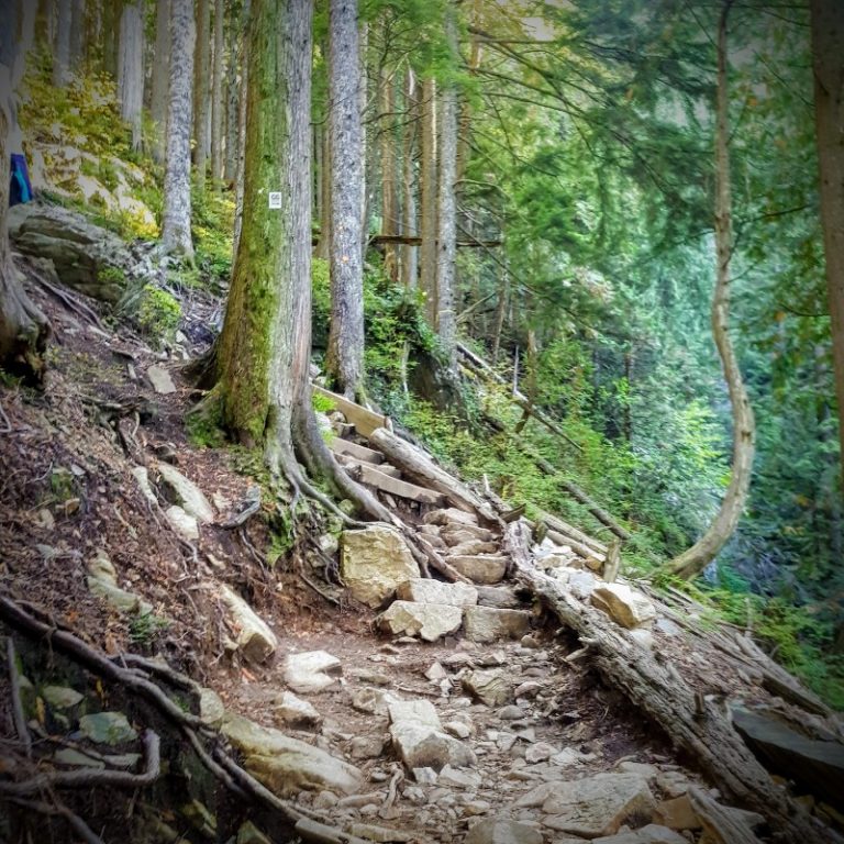 Doing the Grouse Grind at Grouse Mountain - Tunnocks World Tour ...